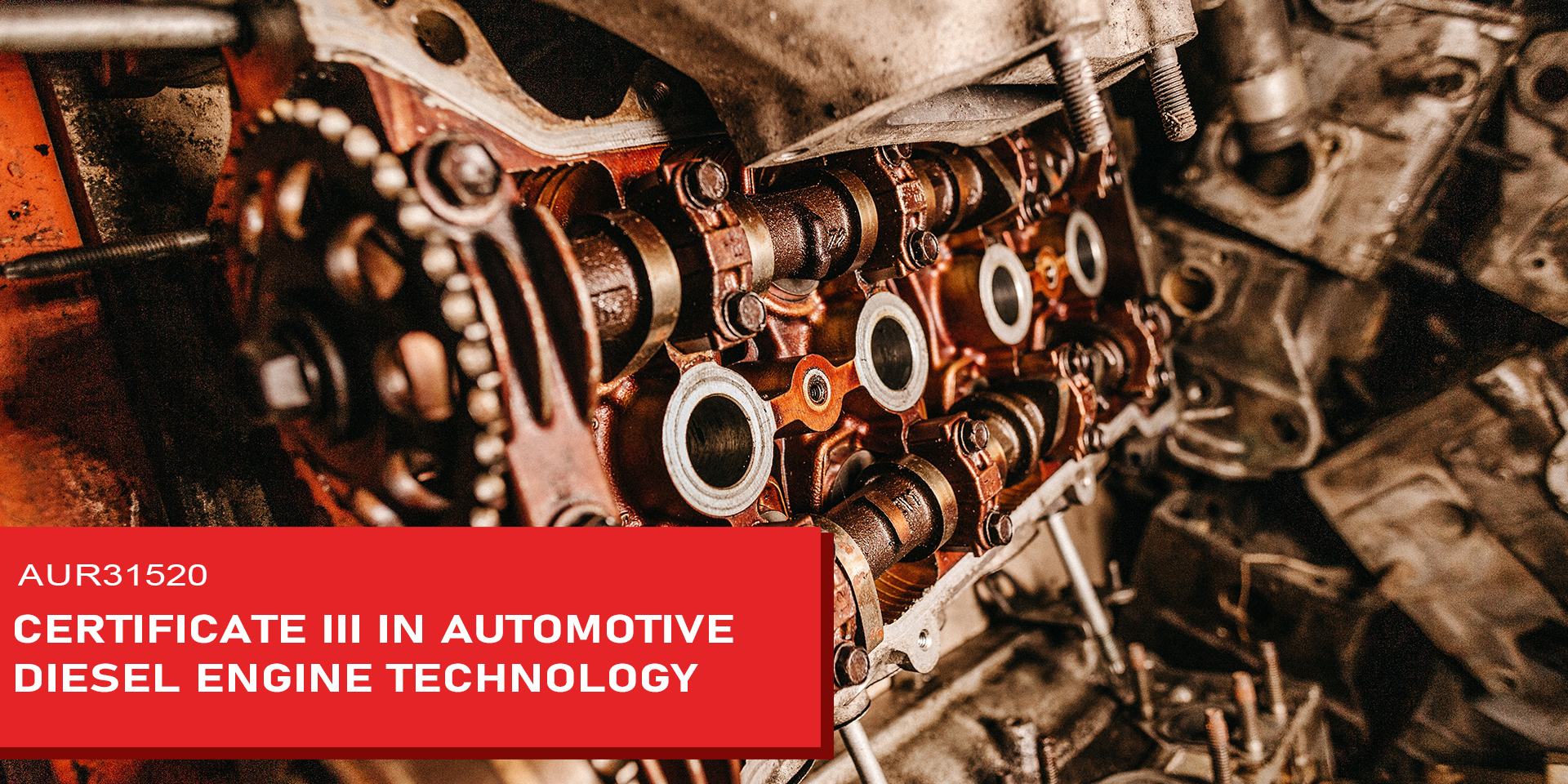Certificate III in Automotive Diesel Engine Technology - illoura college